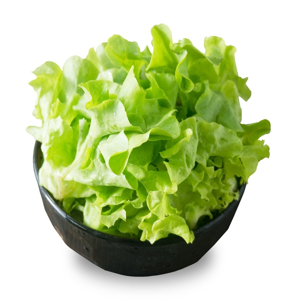 Salades :: Salade verte